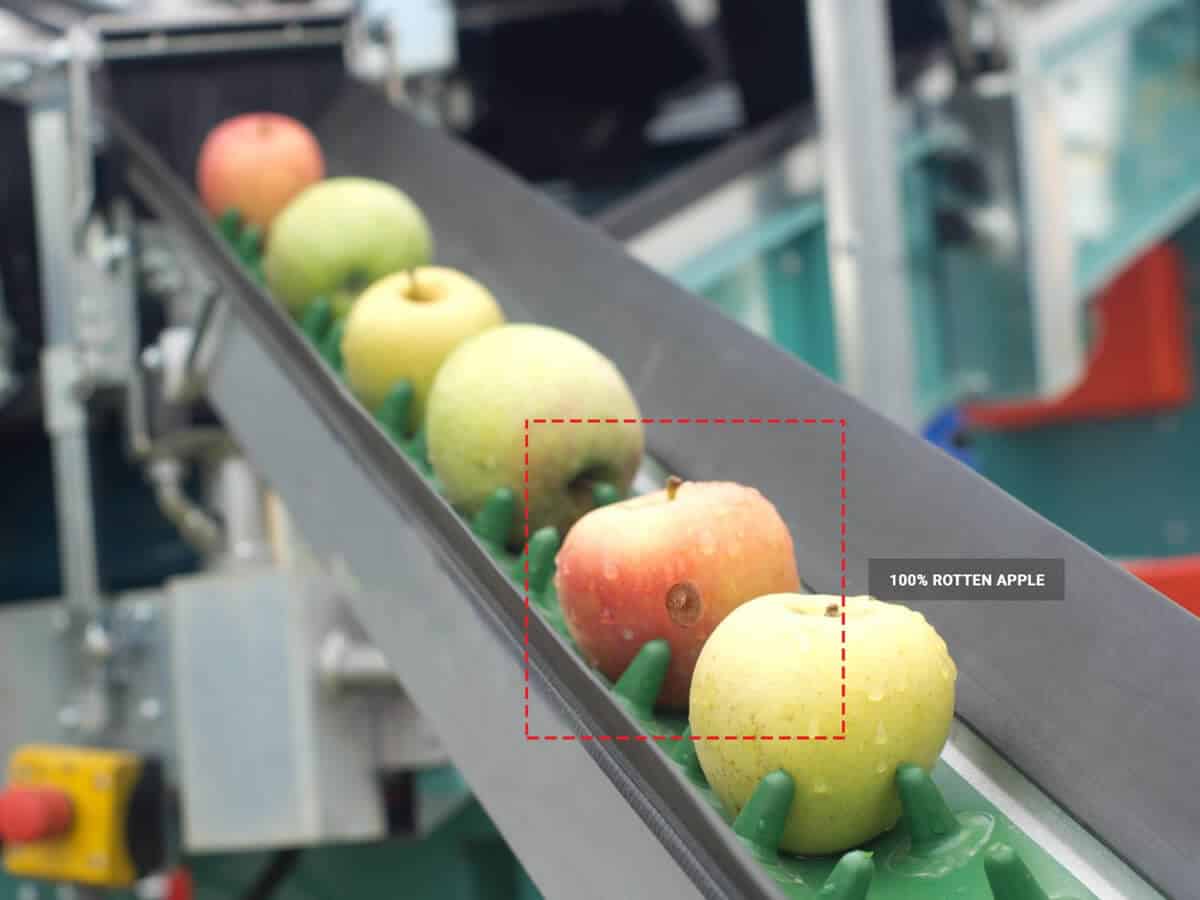 Role of Image Recognition in Defect Detection - SentiSight.ai