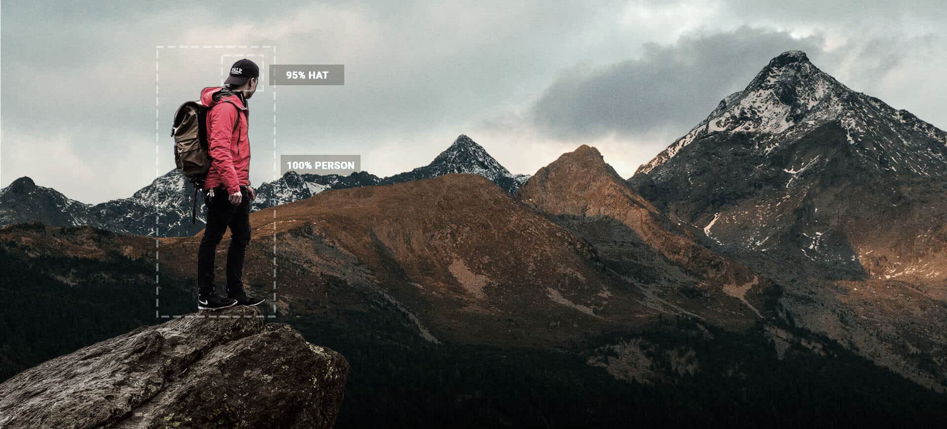 SentiSight.ai - Image labeling and recognition