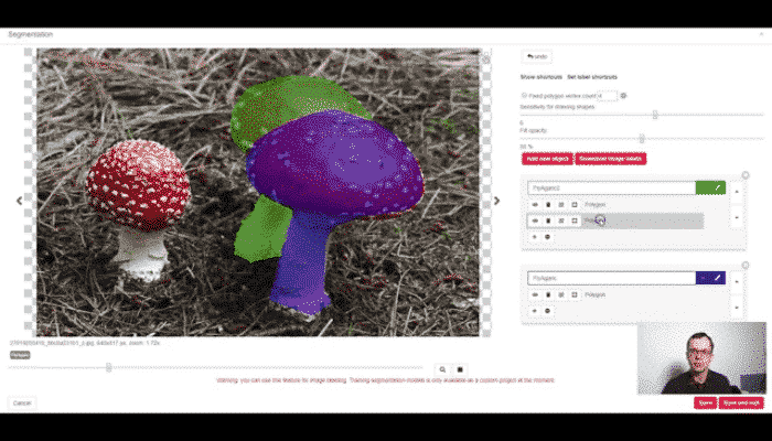 Video tutorials - SentiSight.ai