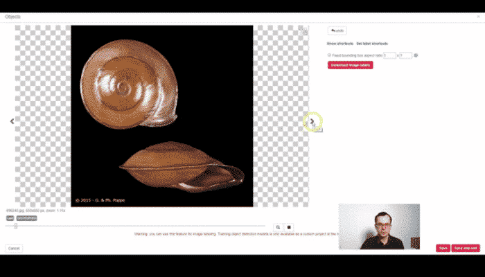 Video tutorials - SentiSight.ai