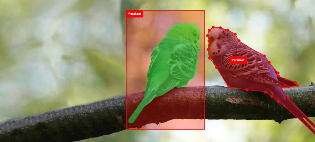 SentiSight.ai - Image labeling and recognition