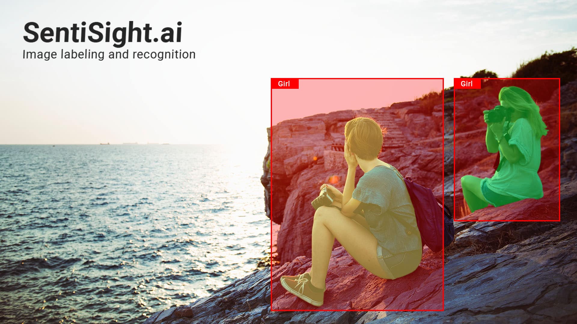 Image Recognition - SentiSight.ai