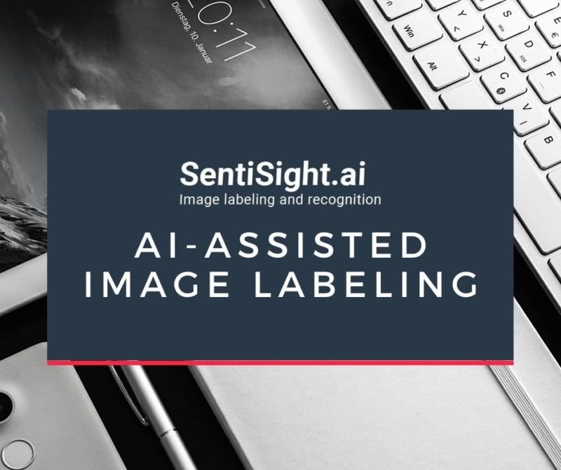 AI-assisted Image Annotation - SentiSight.ai