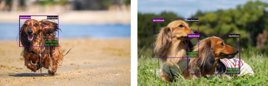 Quickstart Guide for Object Detection Model Training Using - SentiSight.ai