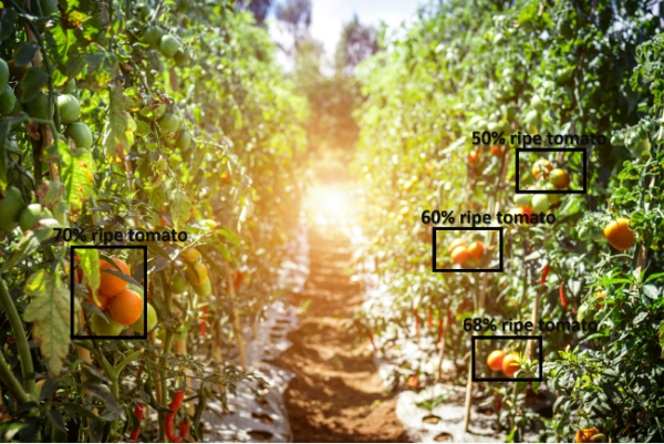 Choosing The Right Image Recognition Model for Your Project - SentiSight.ai