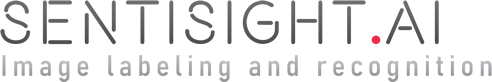 SentiSight.ai | Machine Learning Platform for Image Recognition