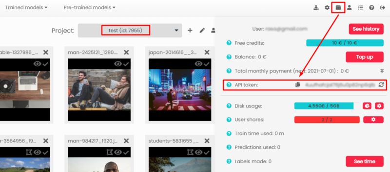 3 Great Ways to Deploy SentiSight.ai Models - SentiSight.ai