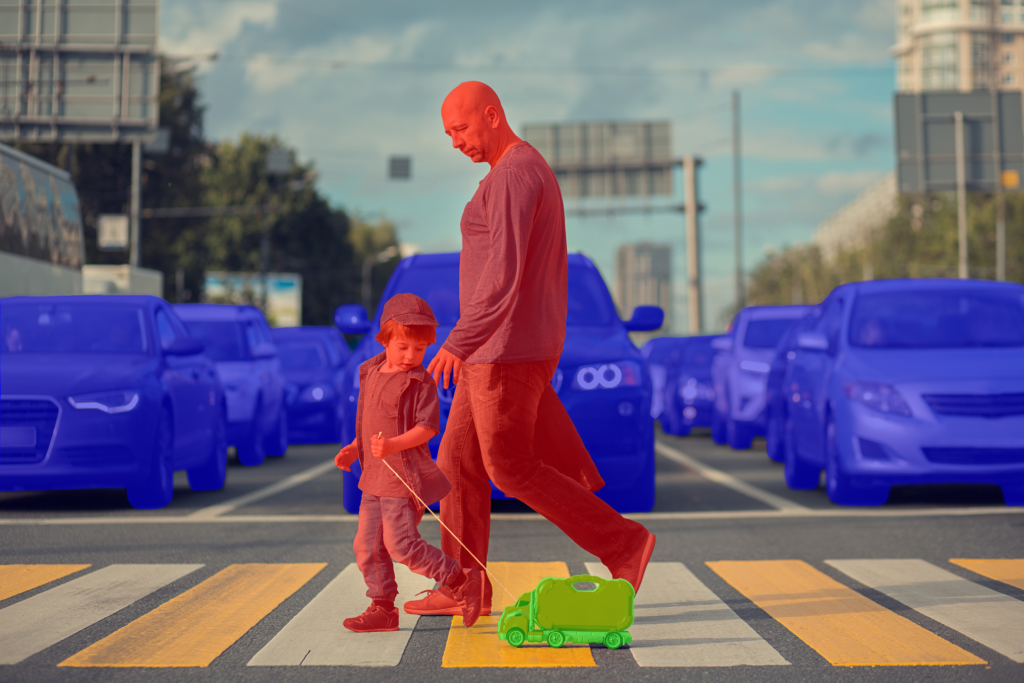 Image Annotation Services - SentiSight.ai