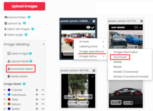 Labeling Project Management - SentiSight.ai