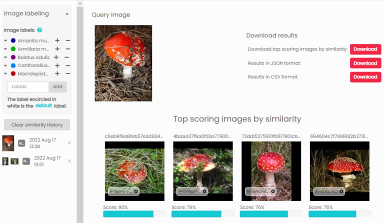 Using image similarity search - SentiSight.ai
