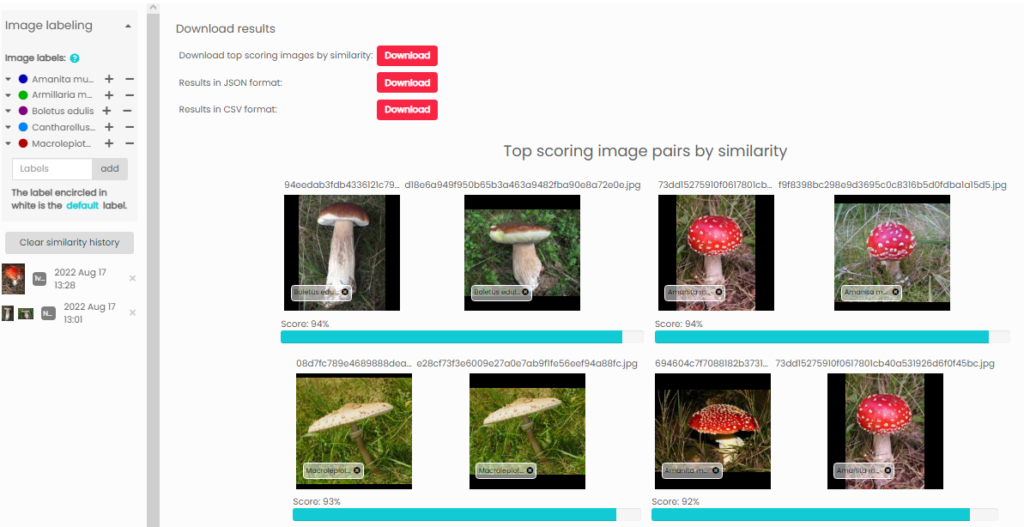 Using image similarity search - SentiSight.ai