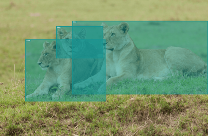 Annotating Bounding Boxes for Object Detection