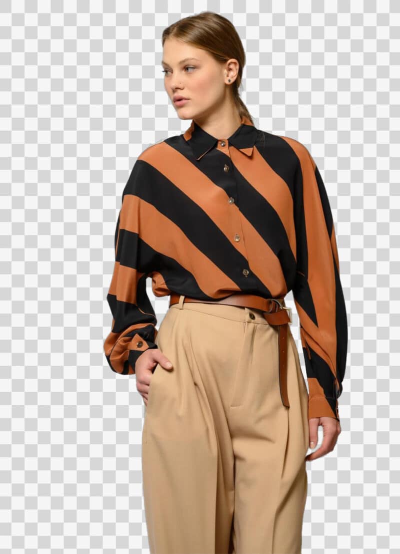 Background Removal - SentiSight.ai