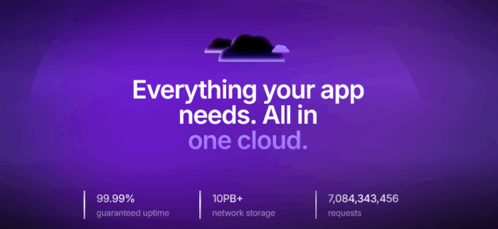 Using RunPod: The AI Cloud Platform for Running Full-Stack AI Apps